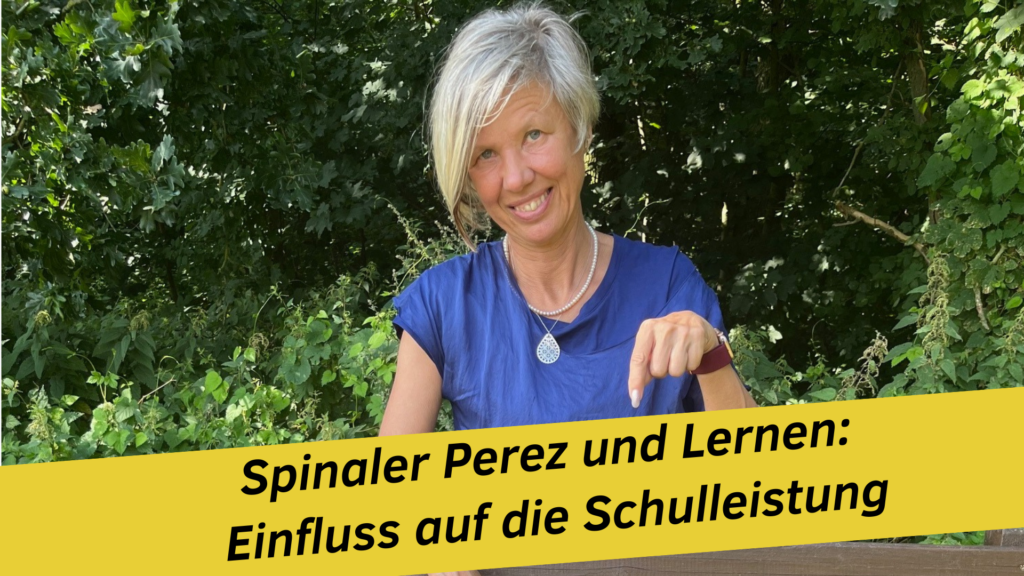 Spinaler Perez und Lernen: Einfluss auf die Schulleistung - Silke ...